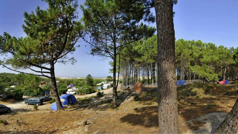 Naturist Holiday Rentals | Camping CHM Montalivet